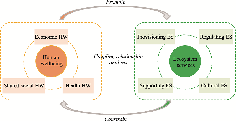Spatio Temporal Analysis Of Human Wellbeing And Its Coupling