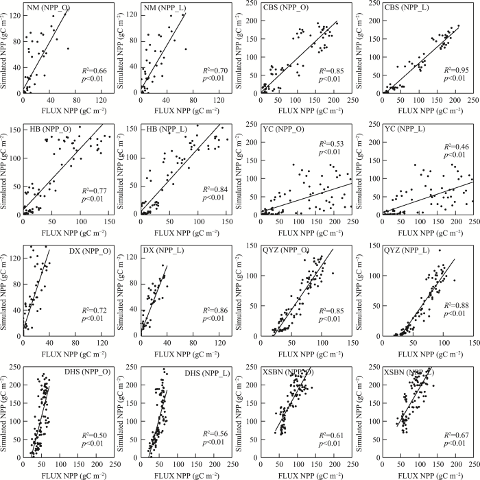 Considering time-lag effects can improve the accuracy of NPP simulation ...