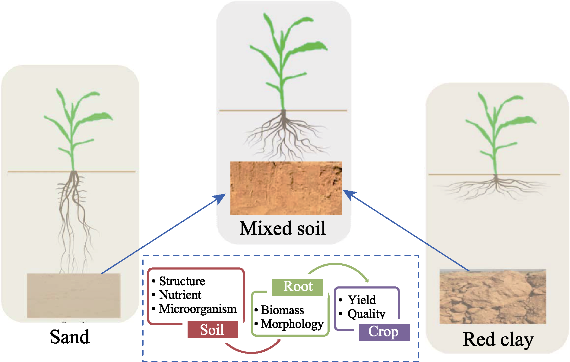 Land consolidation engineering and modern agriculture: A case study ...