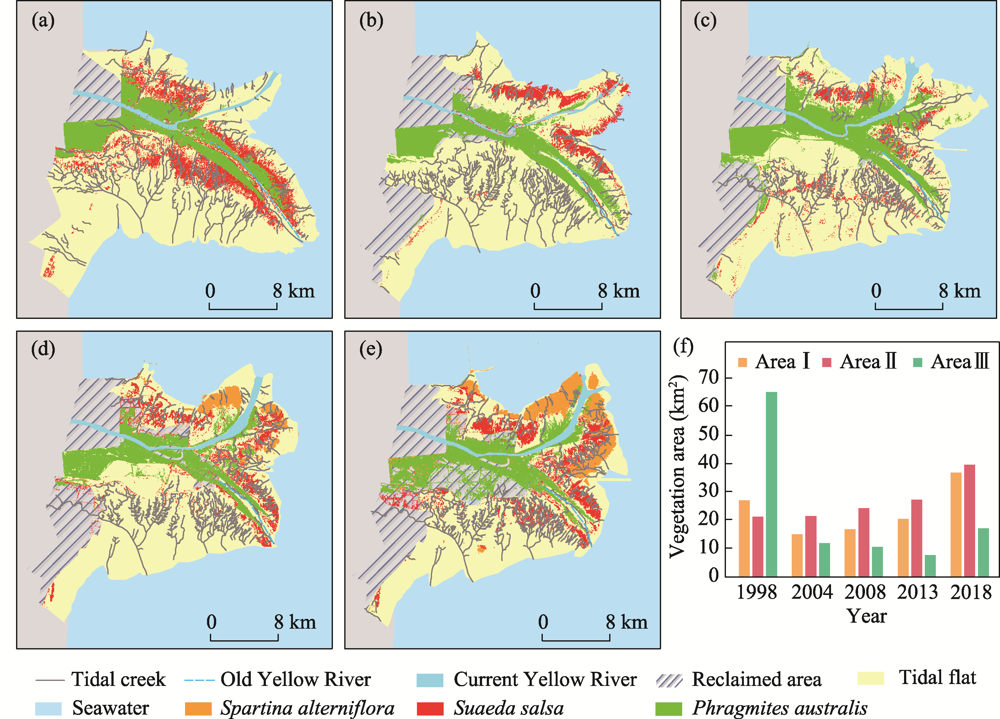 Spatiotemporal differentiation and development process of tidal creek ...