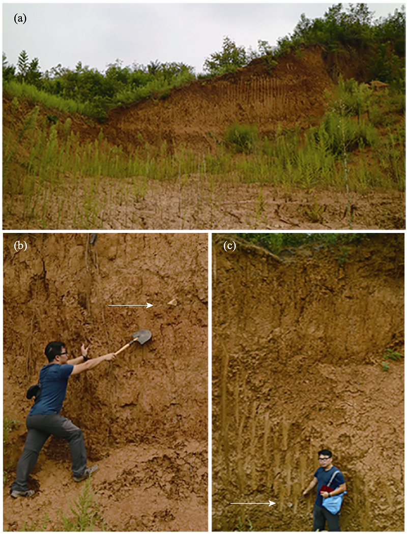 Evidence of Middle Pleistocene hominin migration in the Qinling ...