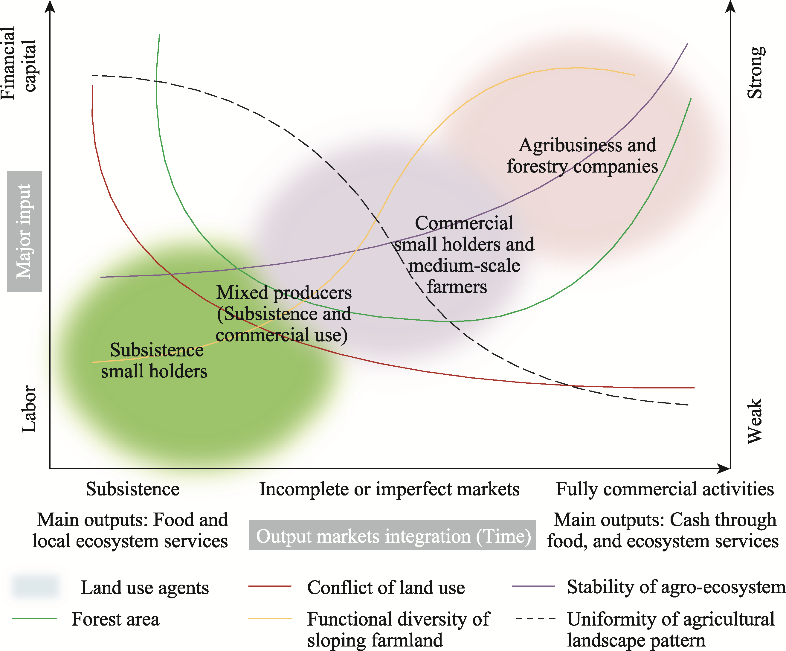 Dynamic changes and transitions of agricultural landscape patterns in ...